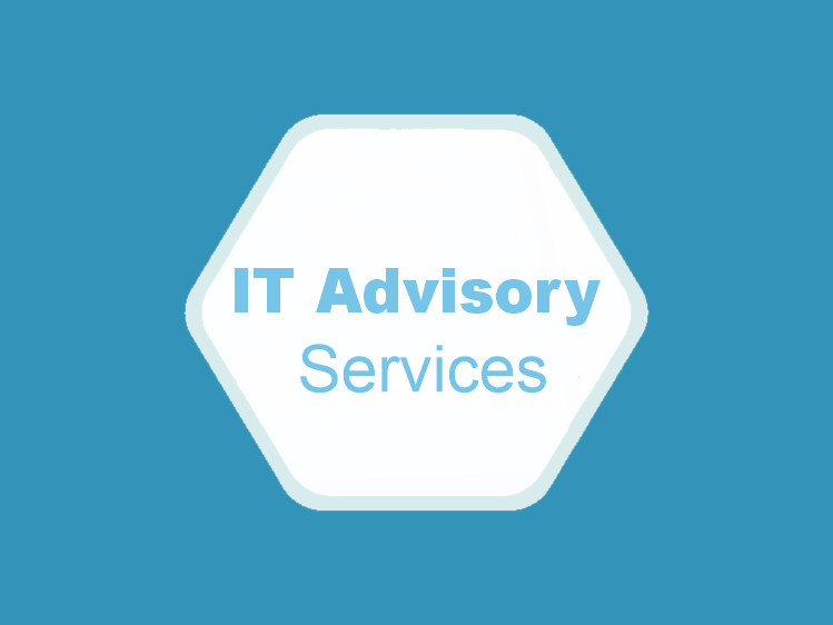 Advisory Services – Abidemi Adeboje & Co
